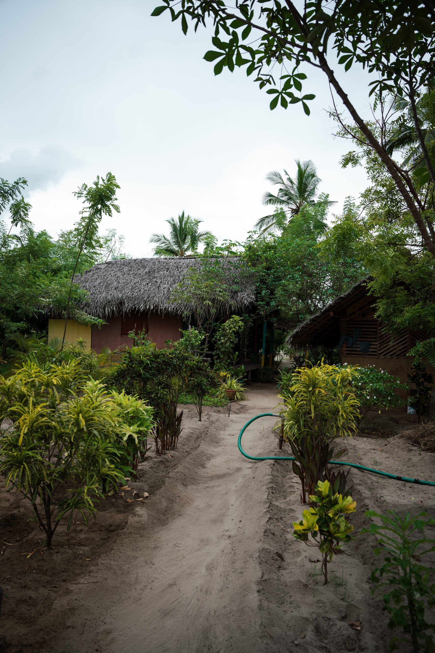 Home - Banyan Beach Cottage